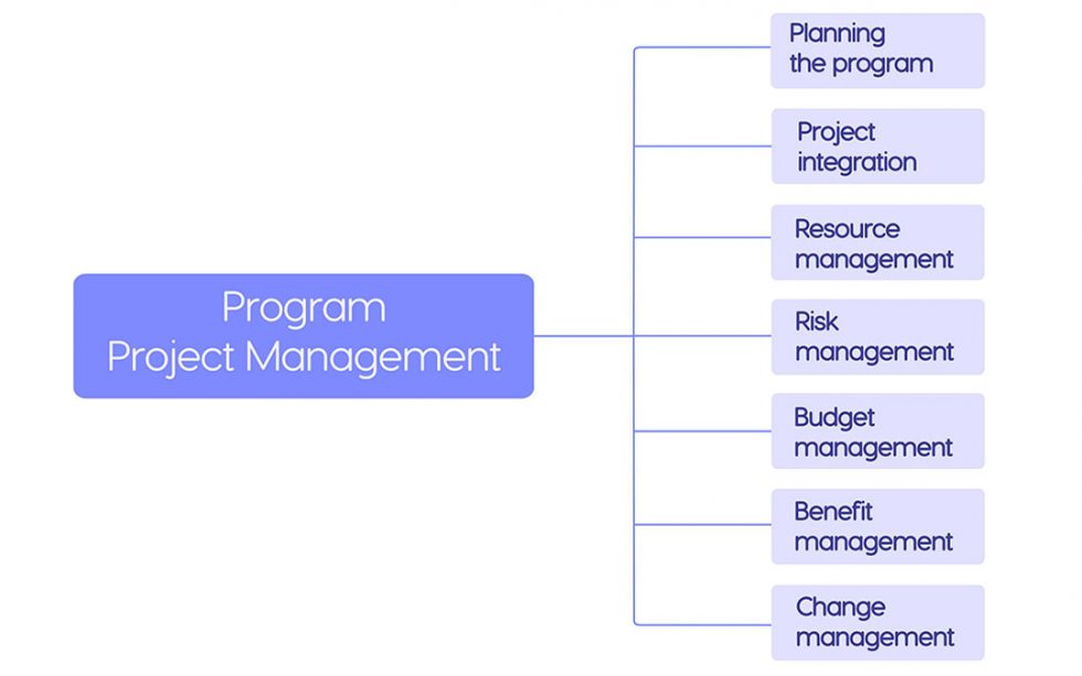 A Guide to Program Project Management [2025] - Epicflow